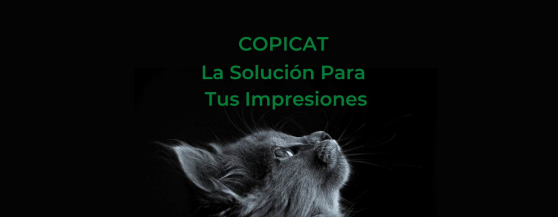 Engargolados/Papelería - Copicat Cancún