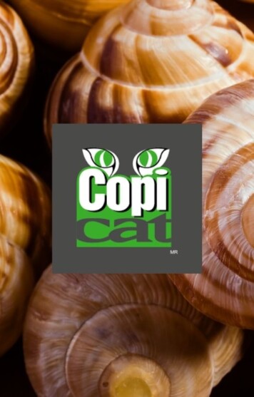 Engargolados/Papelería - Copicat Cancún