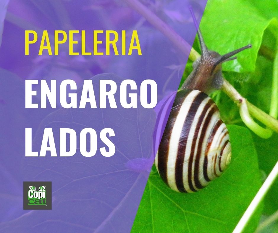 Engargolados/Papelería - Copicat Cancún